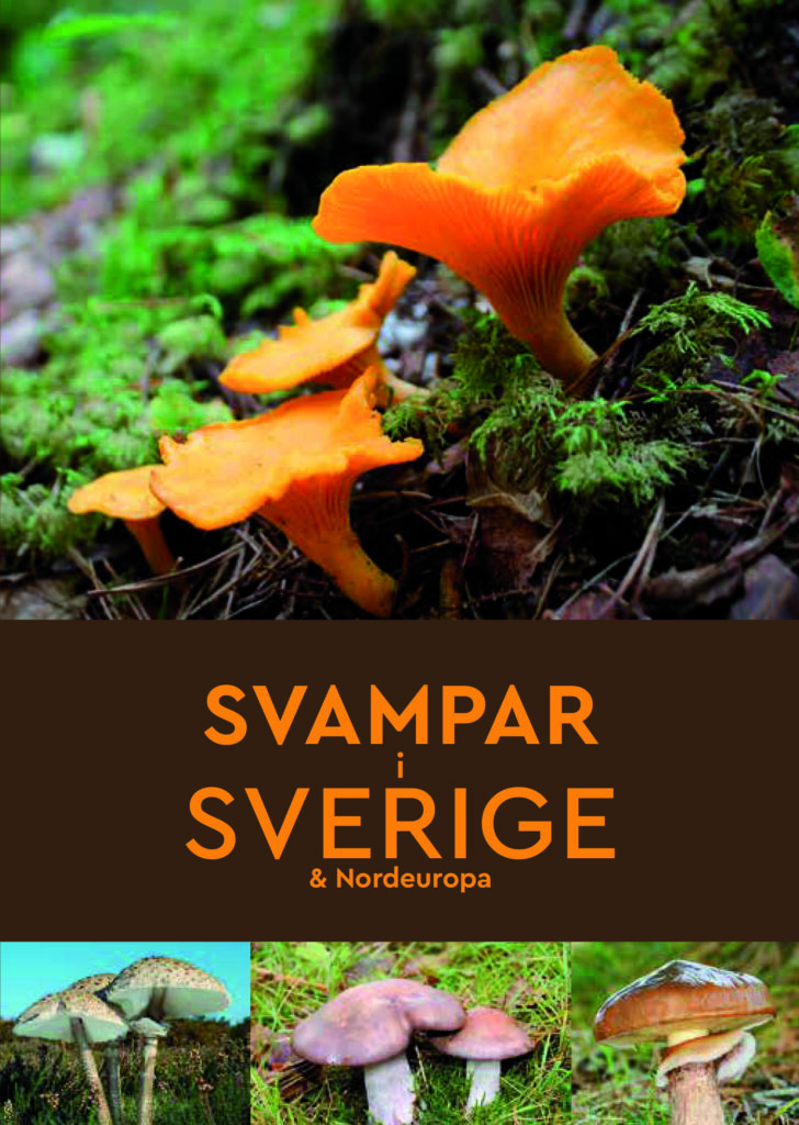 Svampar i Sverige & Nordeuropa